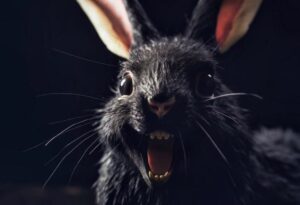 The Terrifying Vampire Rabbit of Newcastle Cathedral – huntdogman.com